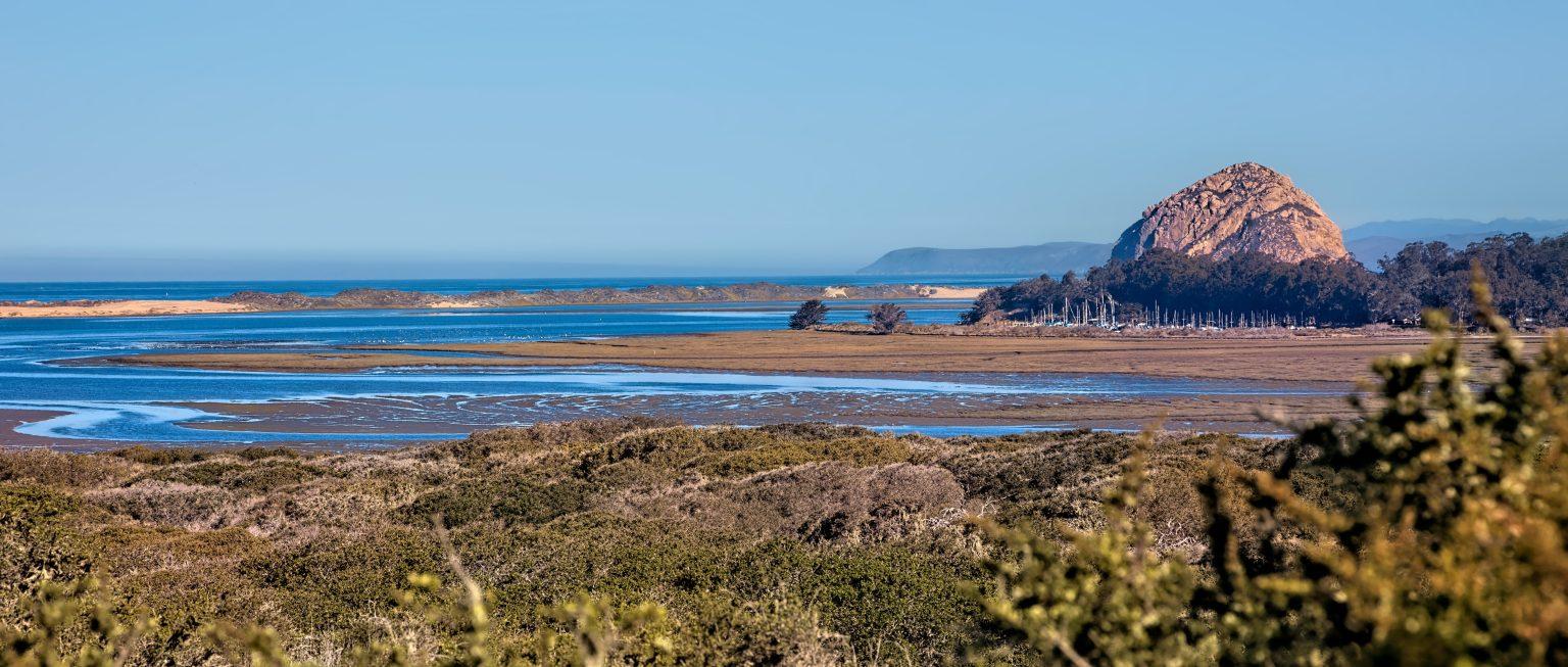 CAPCA Central Coast Chapter August CE Meeting - CAPCA