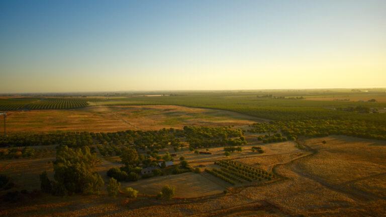 Central Valley Chapter CE Meeting - CAPCA