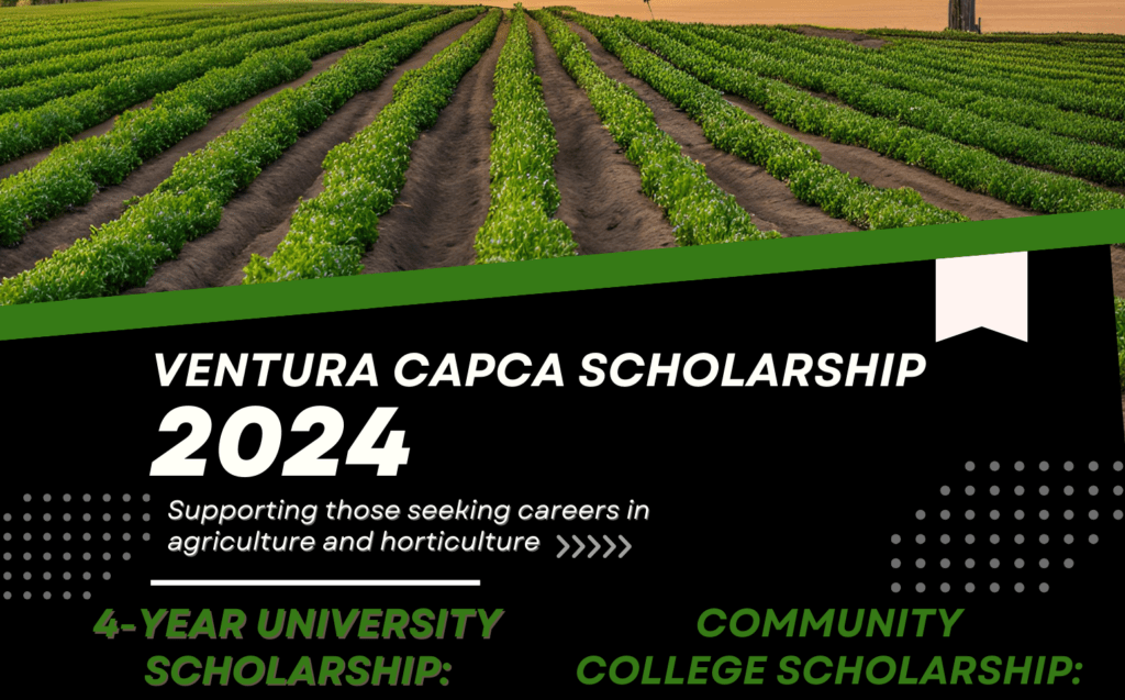 Career Development - CAPCA