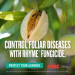 Continuing Education