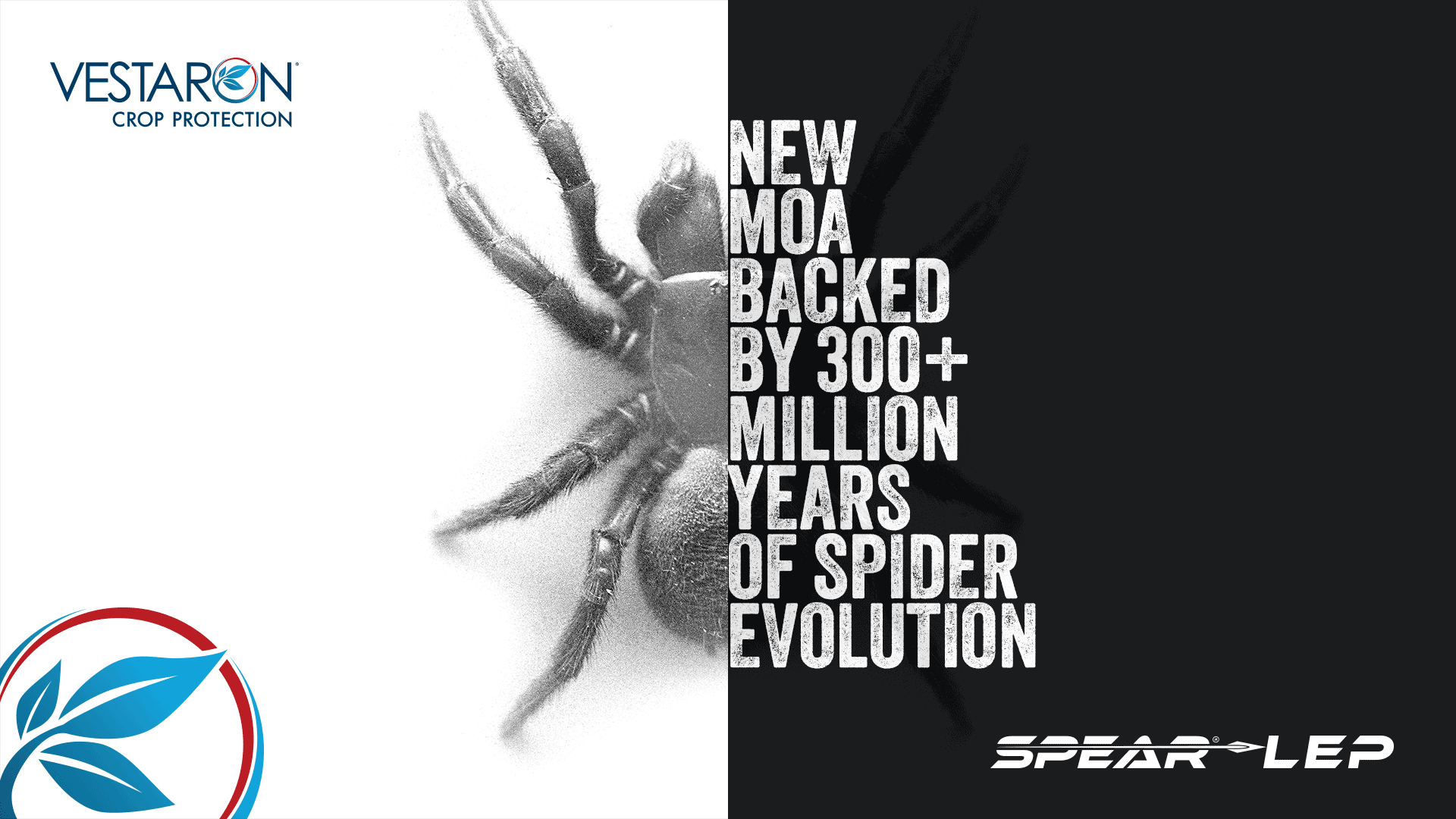 Continuing Education