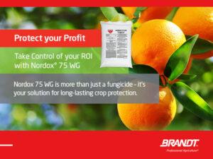 Continuing Education