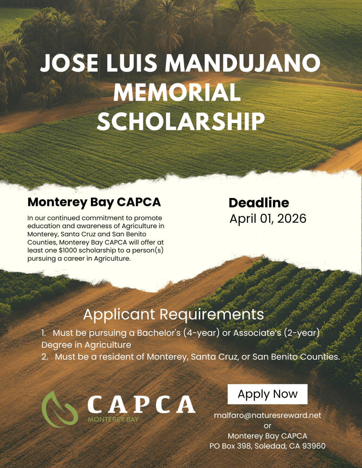 Career Development - CAPCA